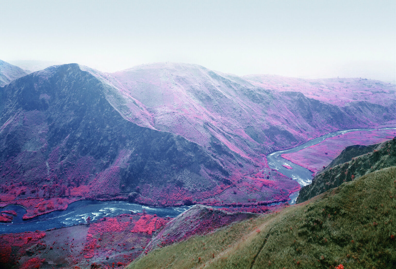Richard Mosse’s Infra Photographs: A Critical Analysis - Naik Neenan ...